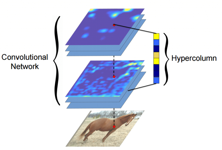 convolutional neural networks | Terra Incognita