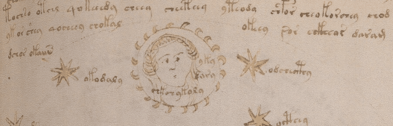 Voynich Manuscript: word vectors and t-SNE visualization of some ...