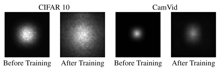 deep learning | Terra Incognita