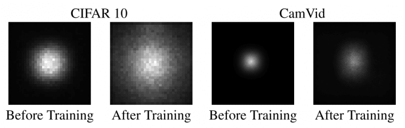 The Effective Receptive Field On Cnns Terra Incognita