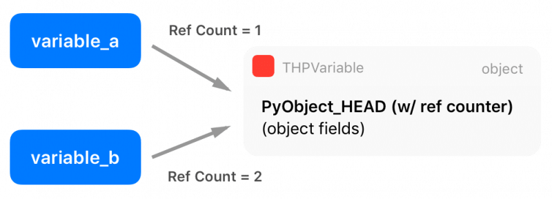 Python | Terra Incognita